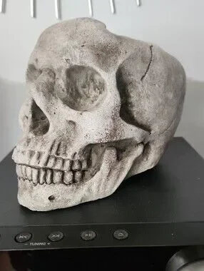 Art | Skull Planter Concrete | Poshmark